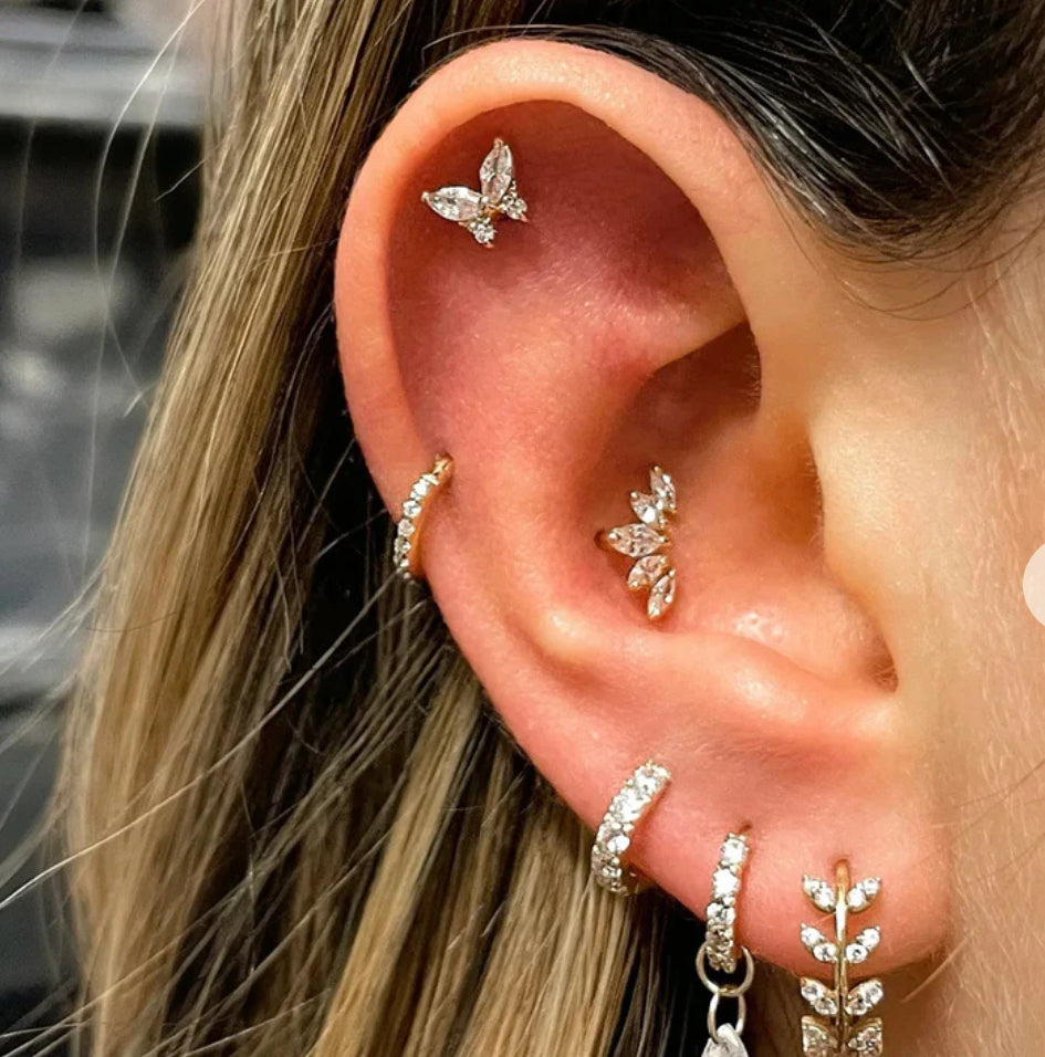 Ear Piercings – My Earscapes